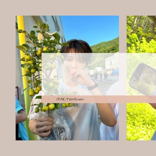 banner 1 selama │ NCT Community │ CHOEAEDOL